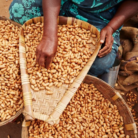Peanuts: Sudan competes with India - Mundus Agri