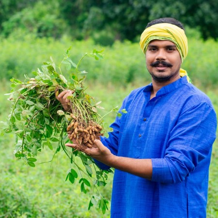 Peanuts: water is the issue - Mundus Agri