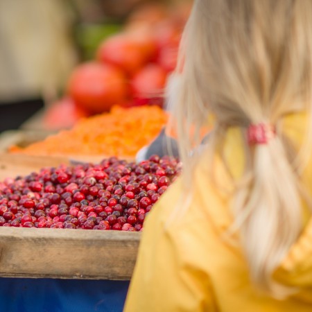 Dried cranberries: stable prices for 2023 - Mundus Agri