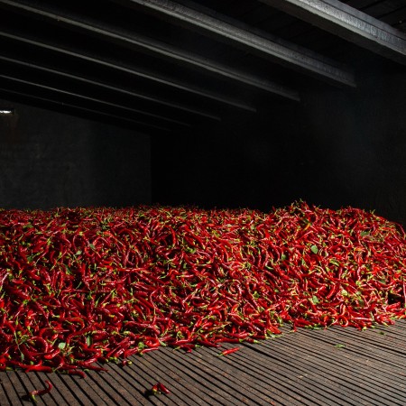 Spice market update: insufficient storage capacity for chilli peppers ...