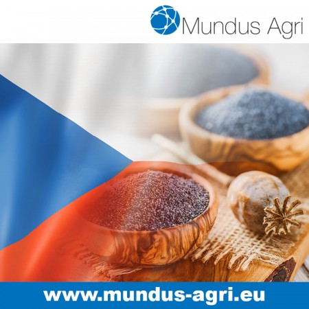 Blue poppy seeds: “Czech farmers should focus on improving the ...