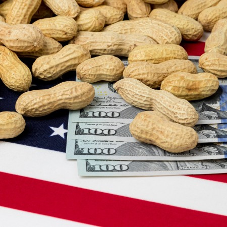 Peanuts: international trade policy comes into focus - Mundus Agri