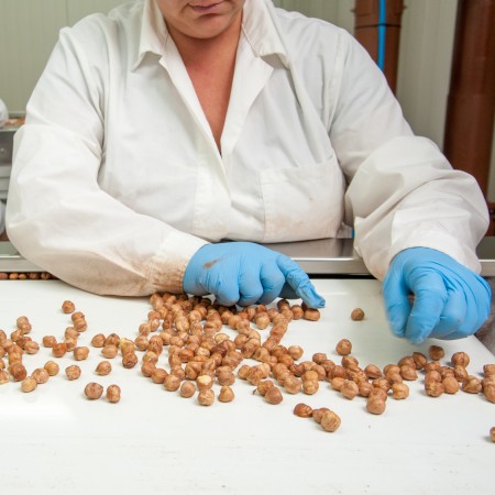 Hazelnuts: focus on the new crop - Mundus Agri
