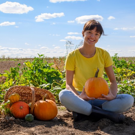 Pumpkin seeds: acreage for Lady Nails increases by 80% - Mundus Agri