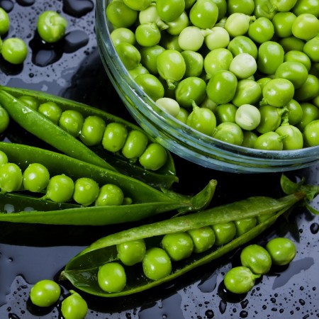 Lentils and peas: rain could cause quality problems - Mundus Agri
