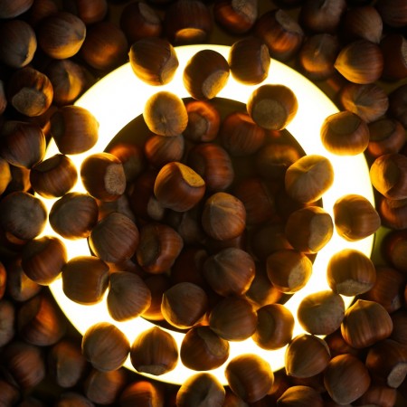 Hazelnuts: price gamble may cost Turkey dearly - Mundus Agri