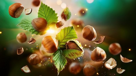 Walnuts: successful export season - Mundus Agri