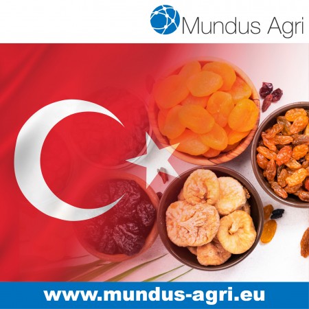 Dried Fruit: “Apricot prices have skyrocketed” - Mundus Agri
