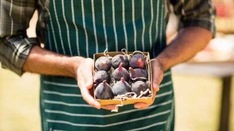 Dried apricots: slight harvest delays - Mundus Agri
