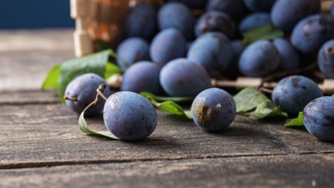 Dried apricots: slight harvest delays - Mundus Agri