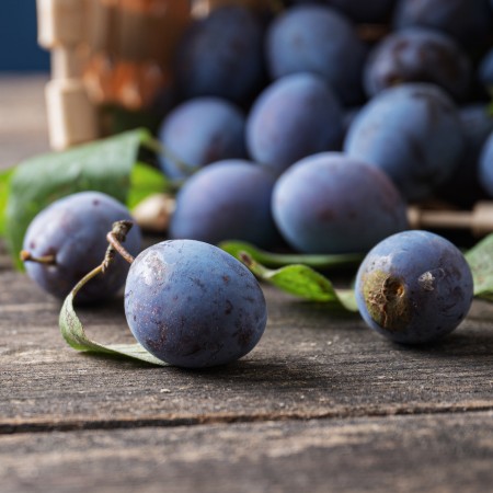 Prunes: global production expected to rise - Mundus Agri