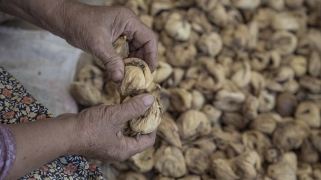 Dried fruit: climate crisis clearly felt in Turkey - Mundus Agri
