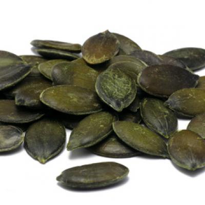 The AUDITOR Issue 01/2026 - Mundus Agri